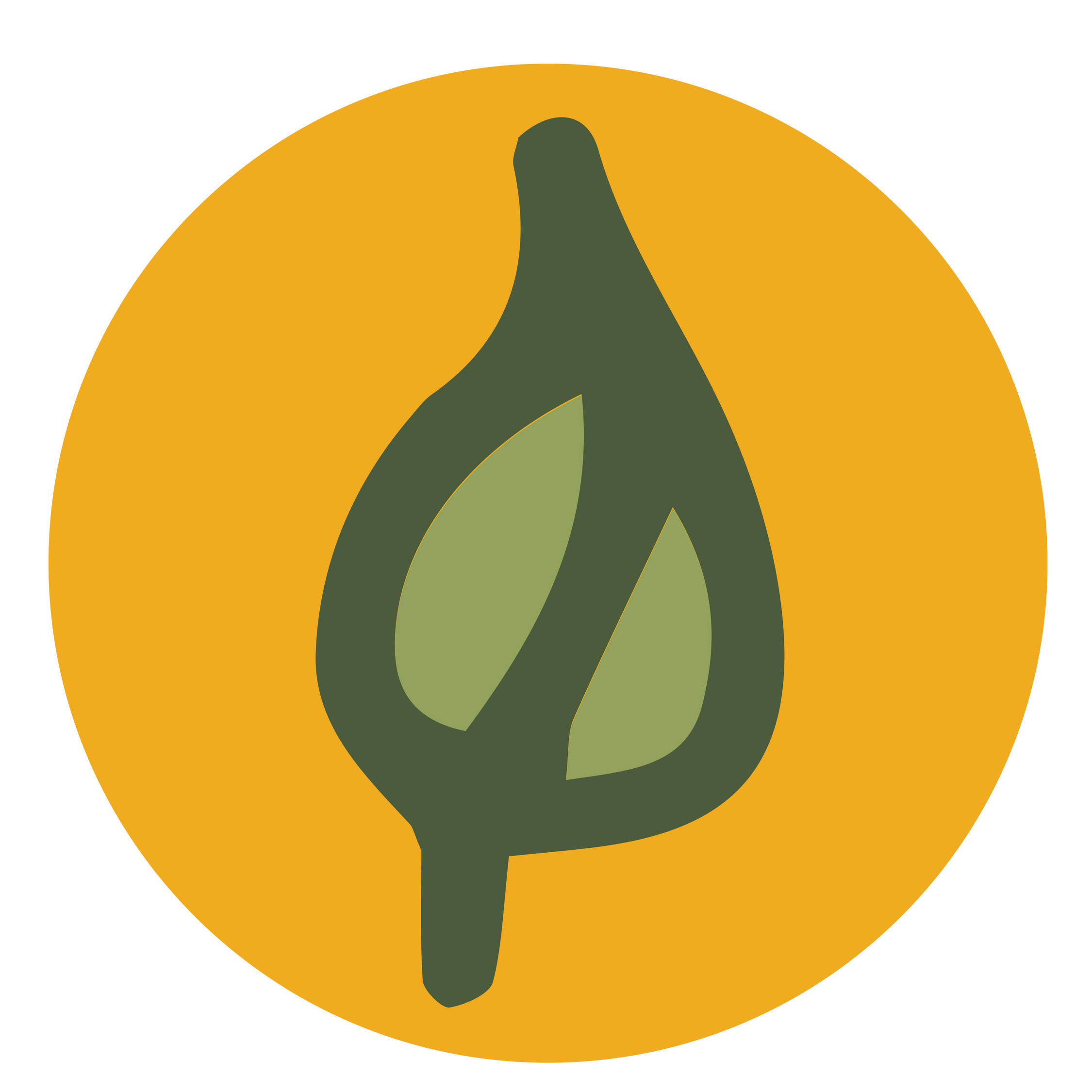 Our Purpose – Purpose Precinct